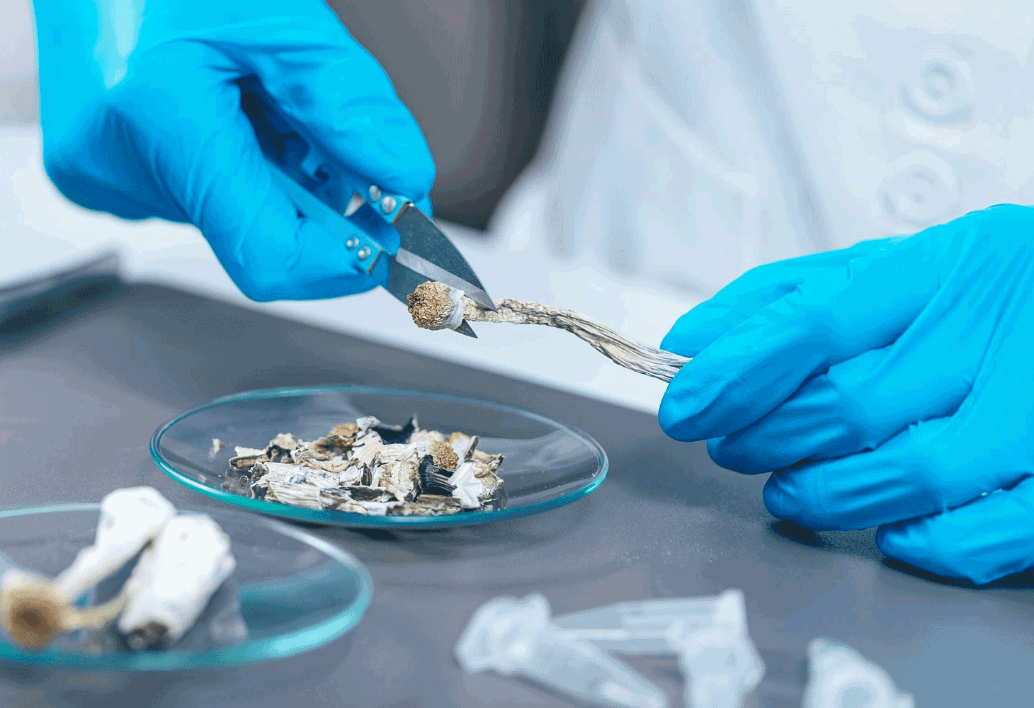 Annual Report 2022-2023 | CAMH