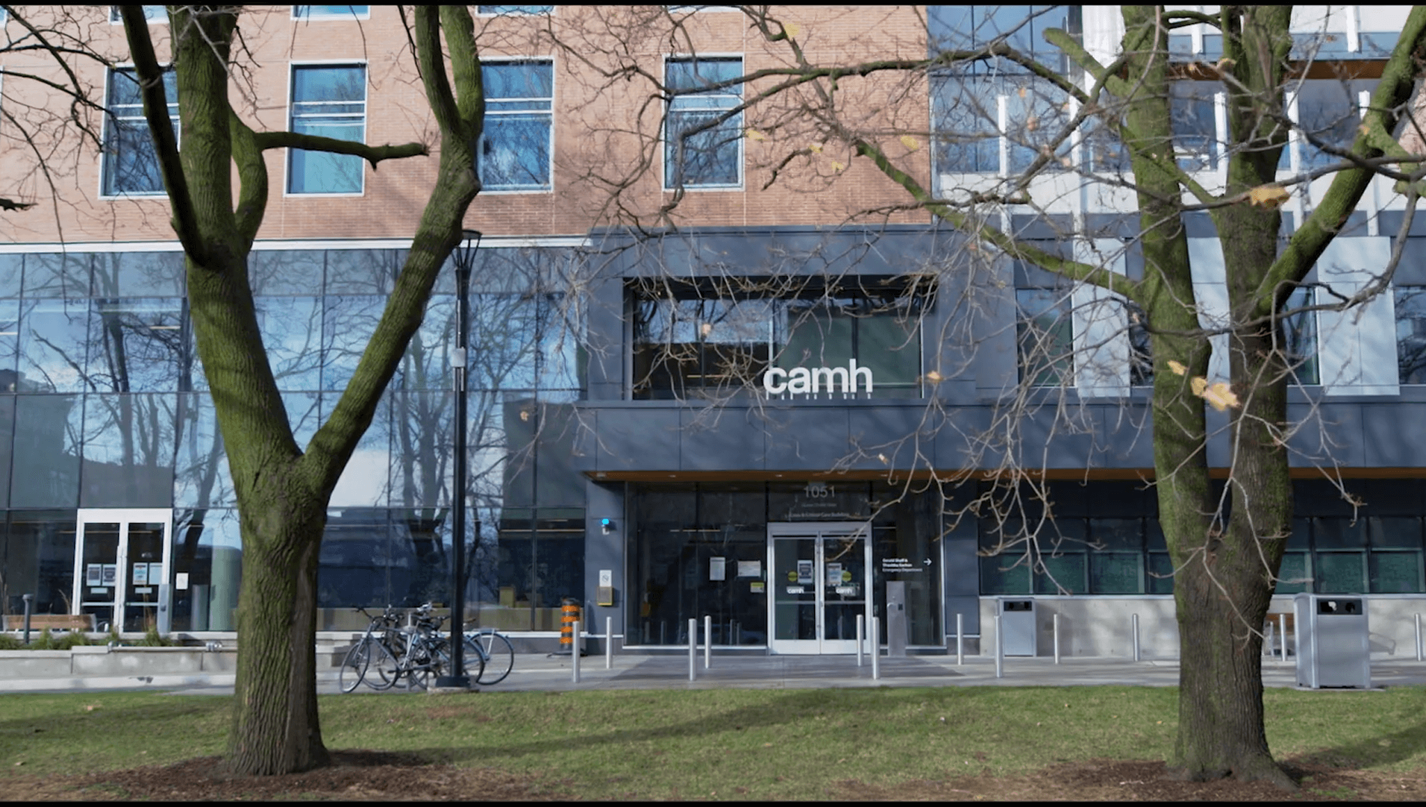 CAMH/CAMH Foundation Annual Report 2020–2021 | CAMH