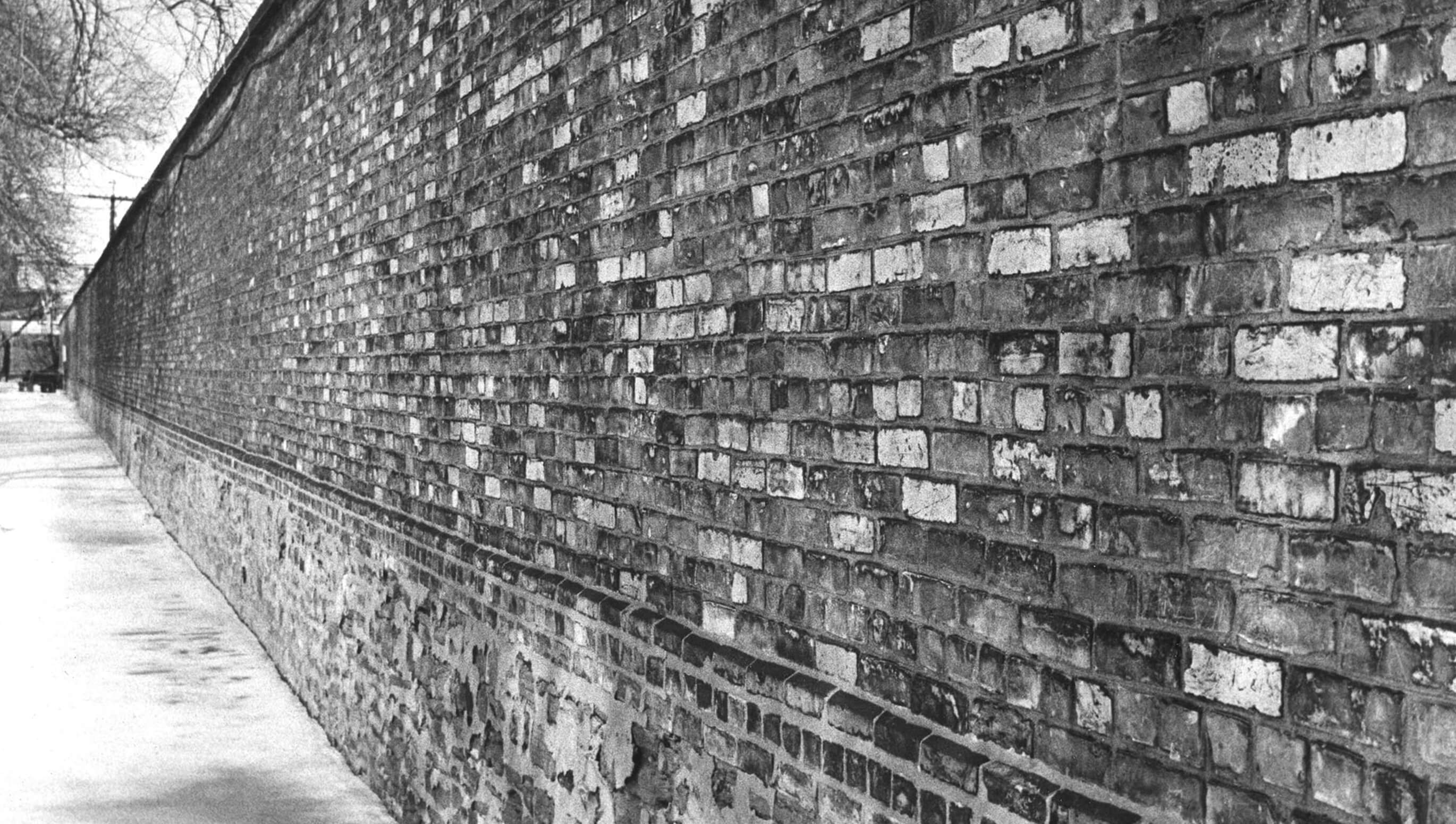 CAMH Archives | CAMH