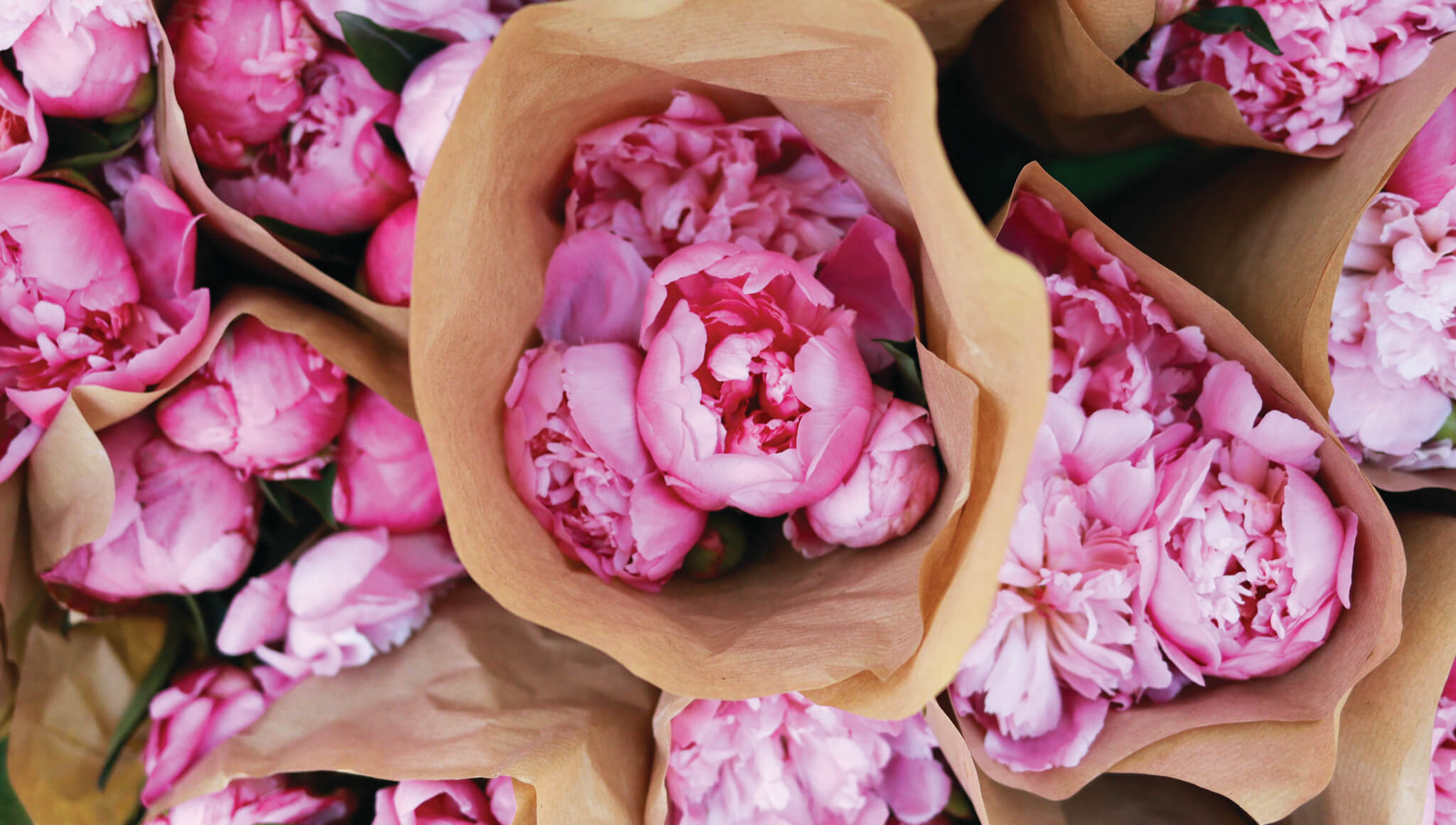 Toronto Flower Market a community in bloom | CAMH
