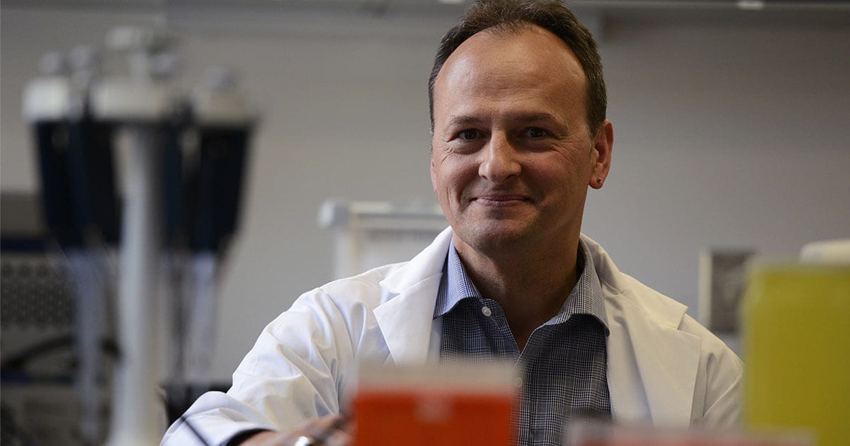 Reversing memory loss | CAMH