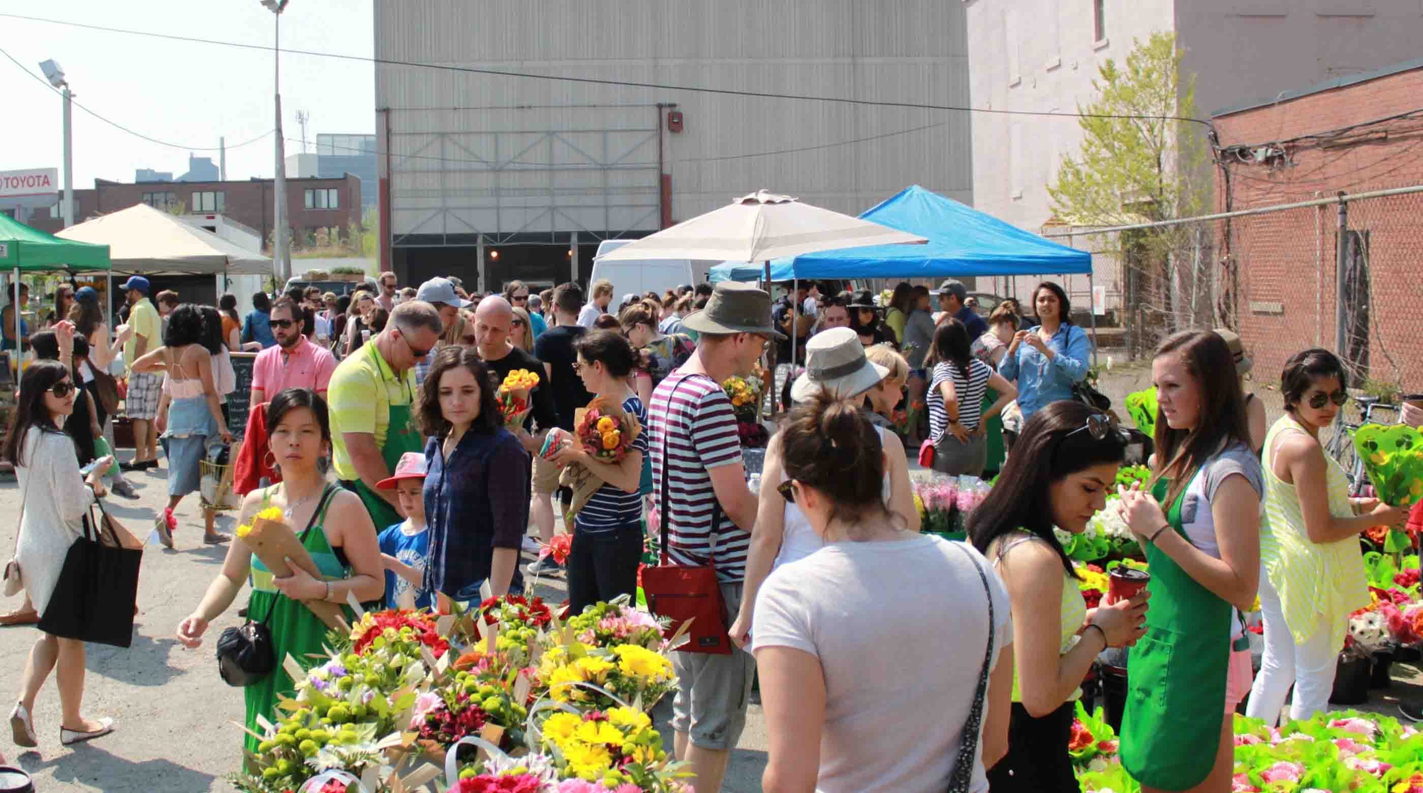 Announcing 2023 Community Engagement Events | CAMH