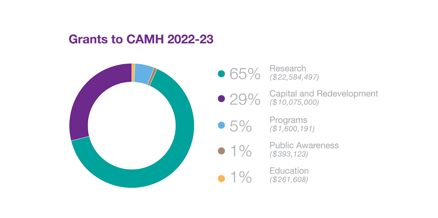 The Role of CAMH Foundation | CAMH
