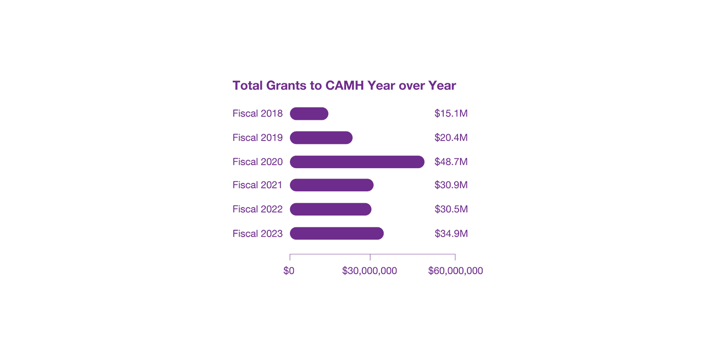The Role of CAMH Foundation | CAMH