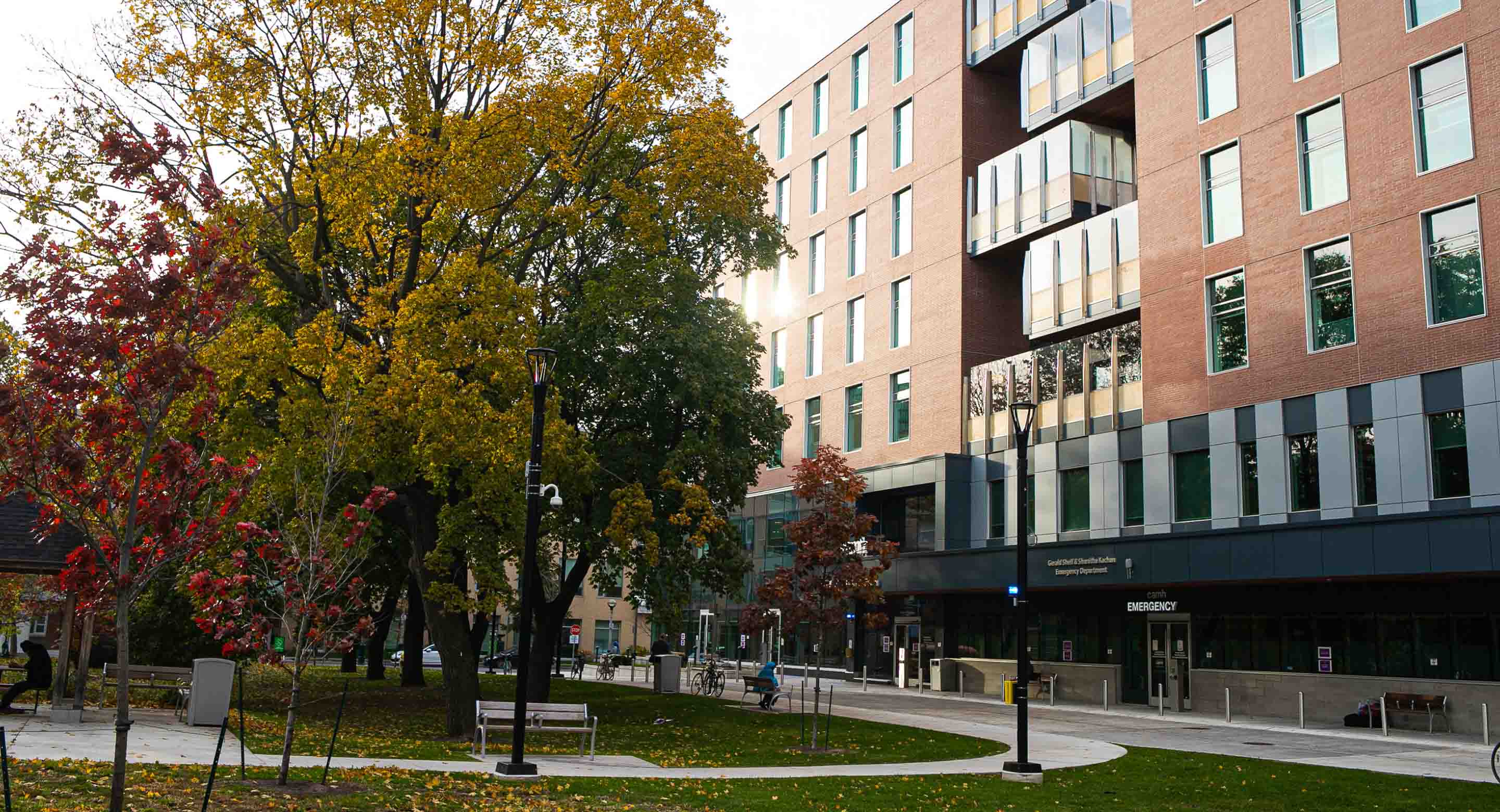 Awards and Grants | CAMH